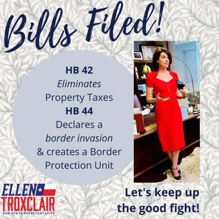 We the People hosts Rep. Ellen Troxclair - We the People | Lake Travis