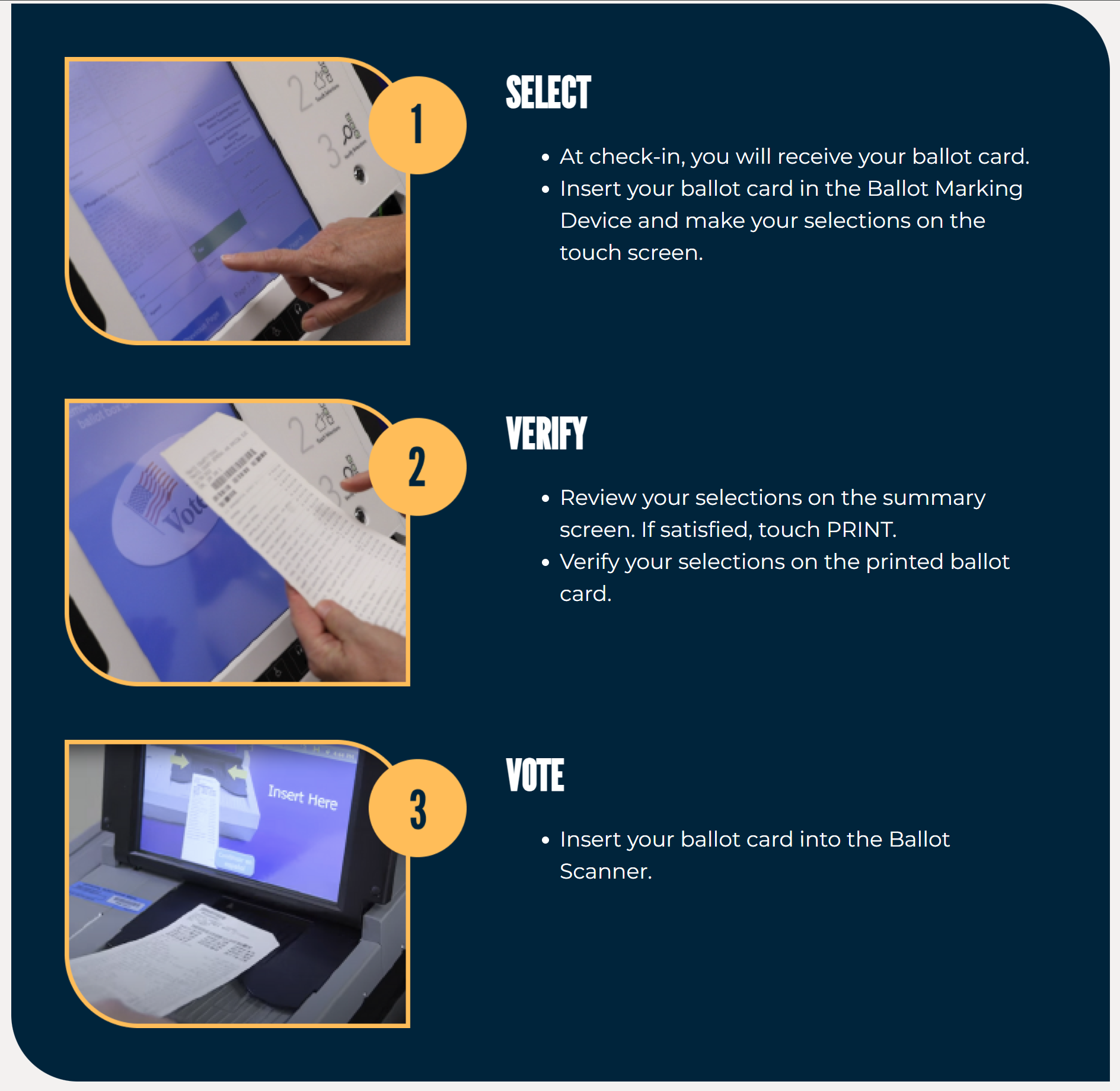 General Election Nov 5th 2024 - We the People | Lake Travis